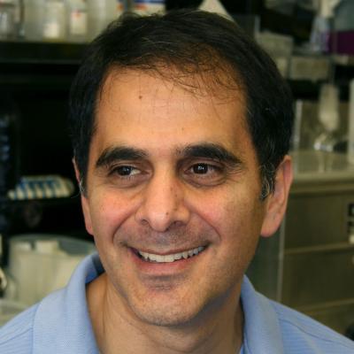 Metabolism, Aging and Development Research | Biochemistry, Molecular ...